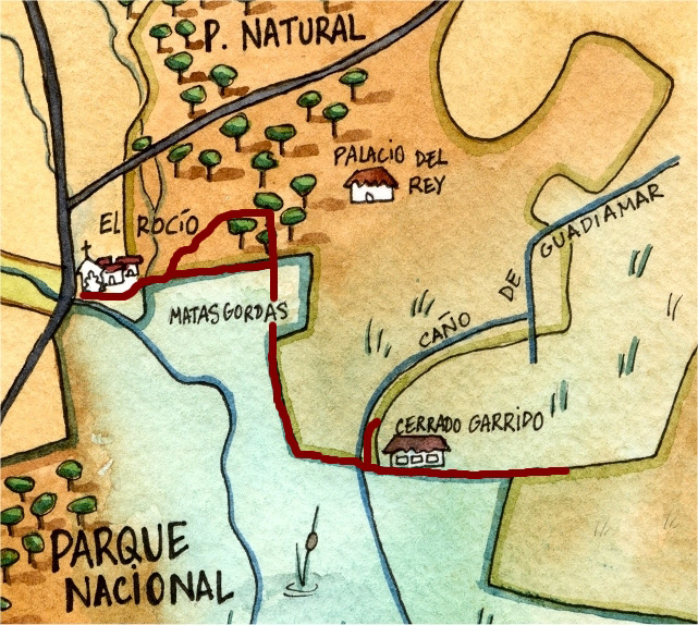 Classic Visit of Doñana Reservas - How to Visit Doñana